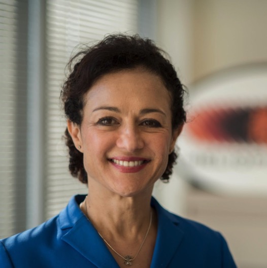 Heliophysics Technology Program – HESTO